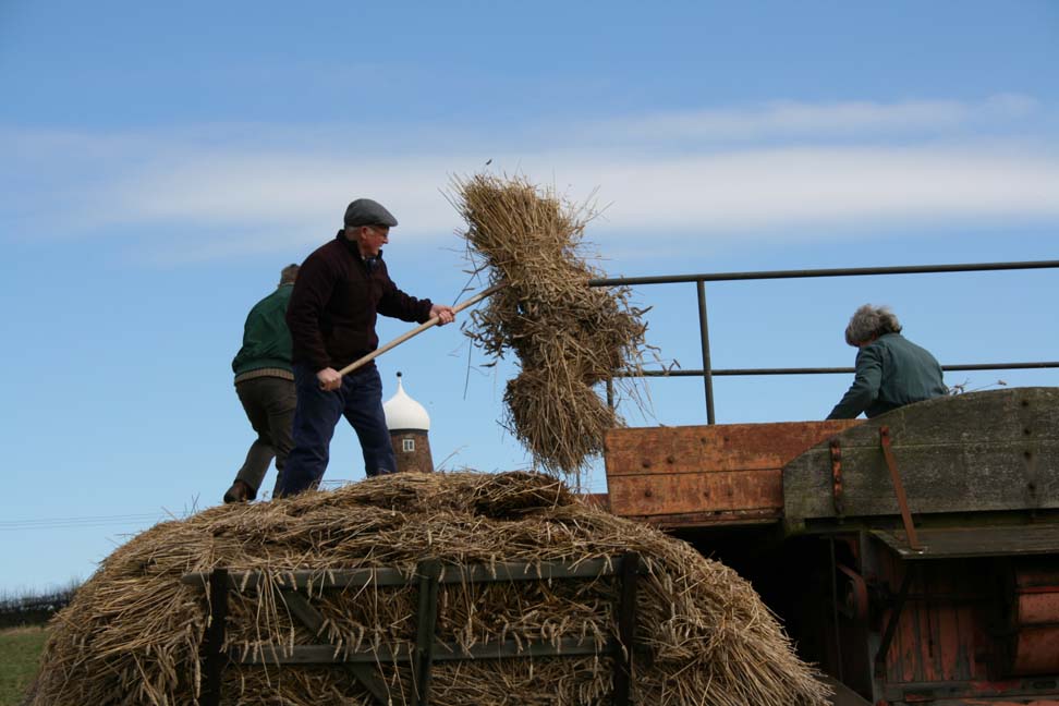 AWM Training - 2008 Epworth Steam Threshing Day